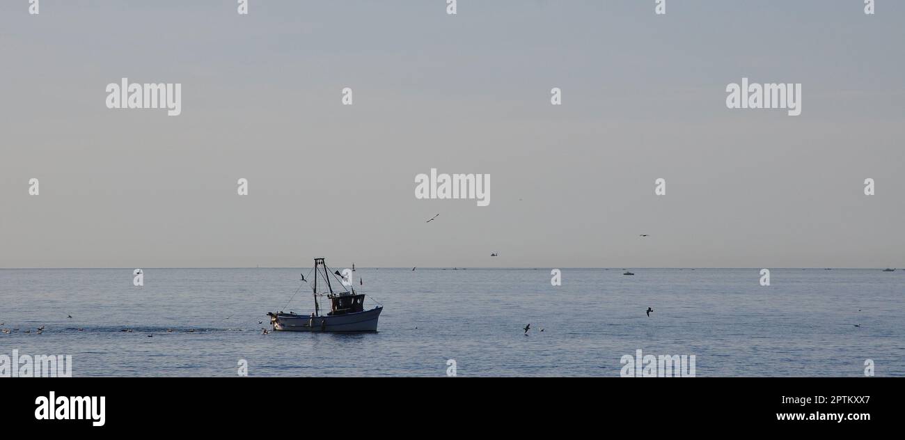 Return of fishing hi-res stock photography and images - Alamy