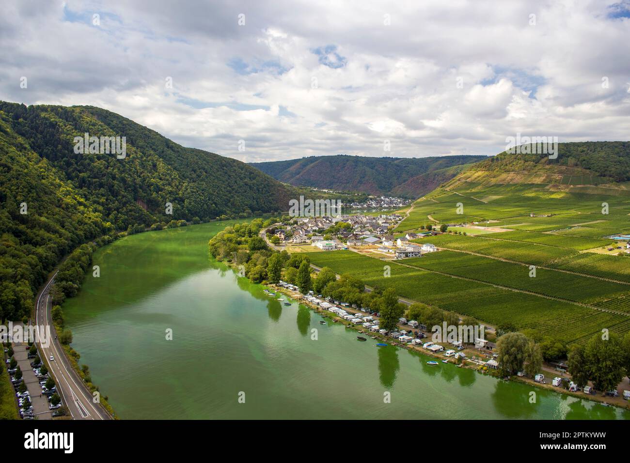 Aerial view of the Moselle valley with vineyards seen from castle ...