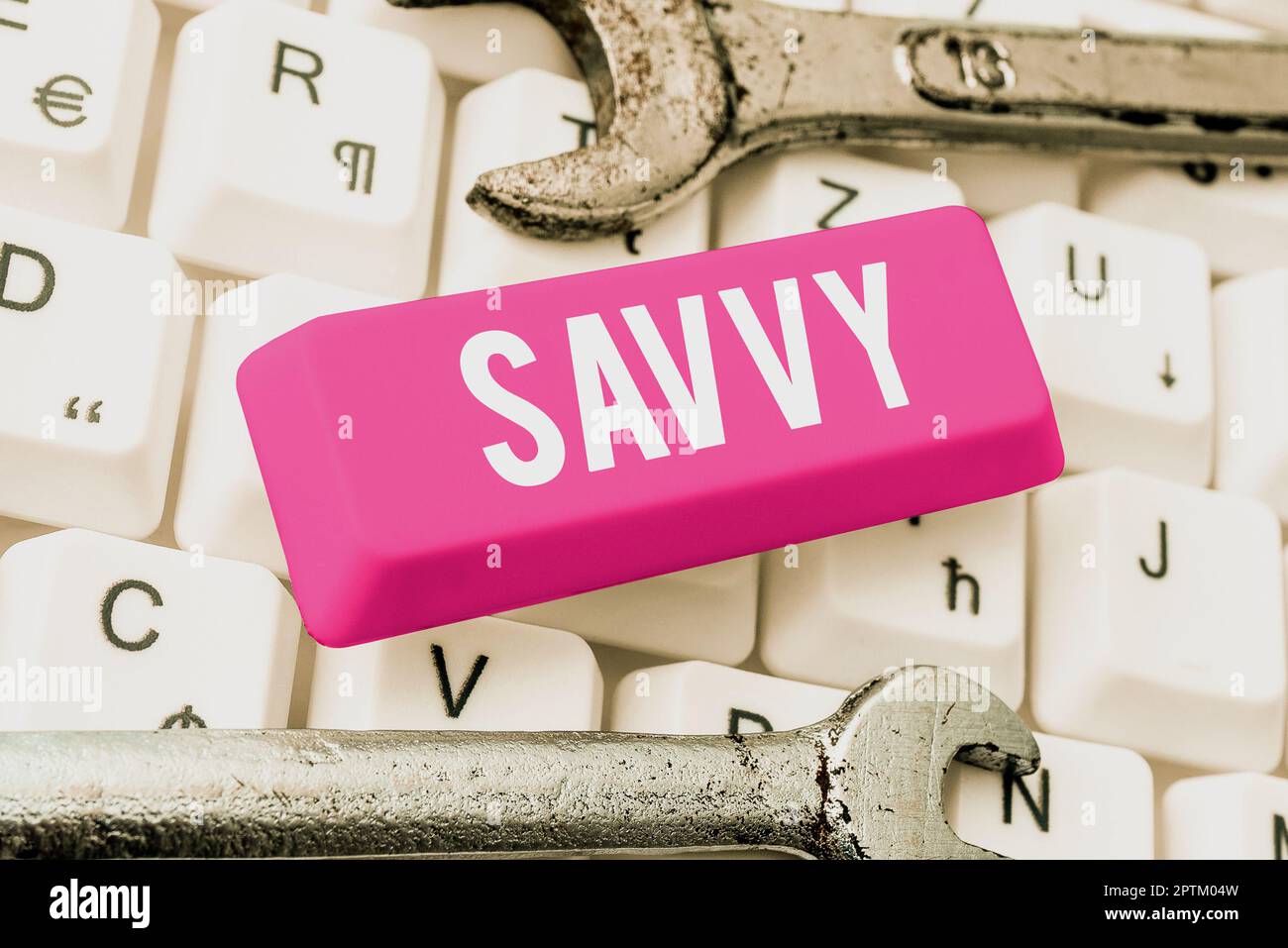 Sign displaying Savvy, Word for having perception, comprehension in ...