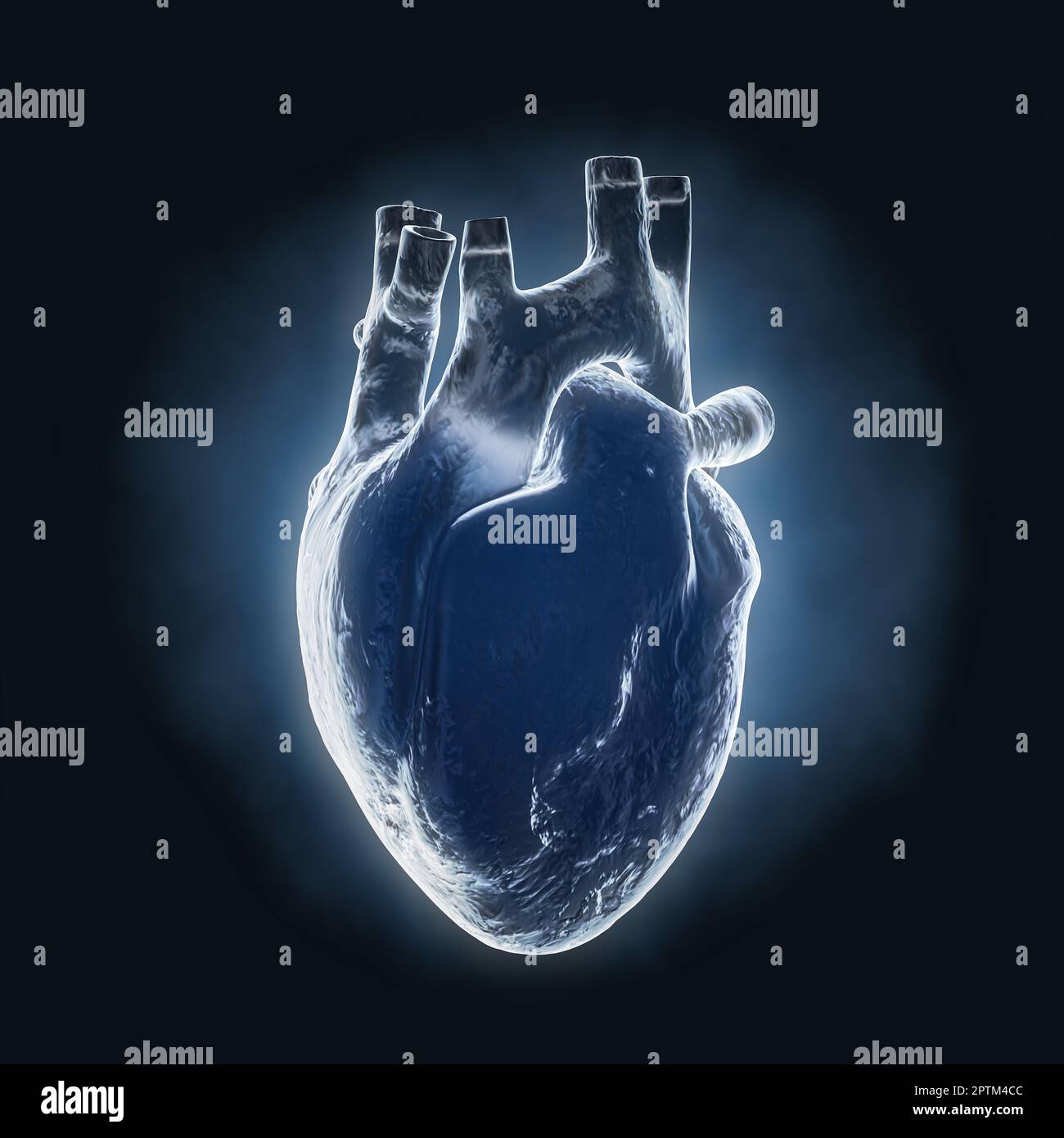 Human Heart Anatomy Internal Organ X-Ray Hologram View on a black ...