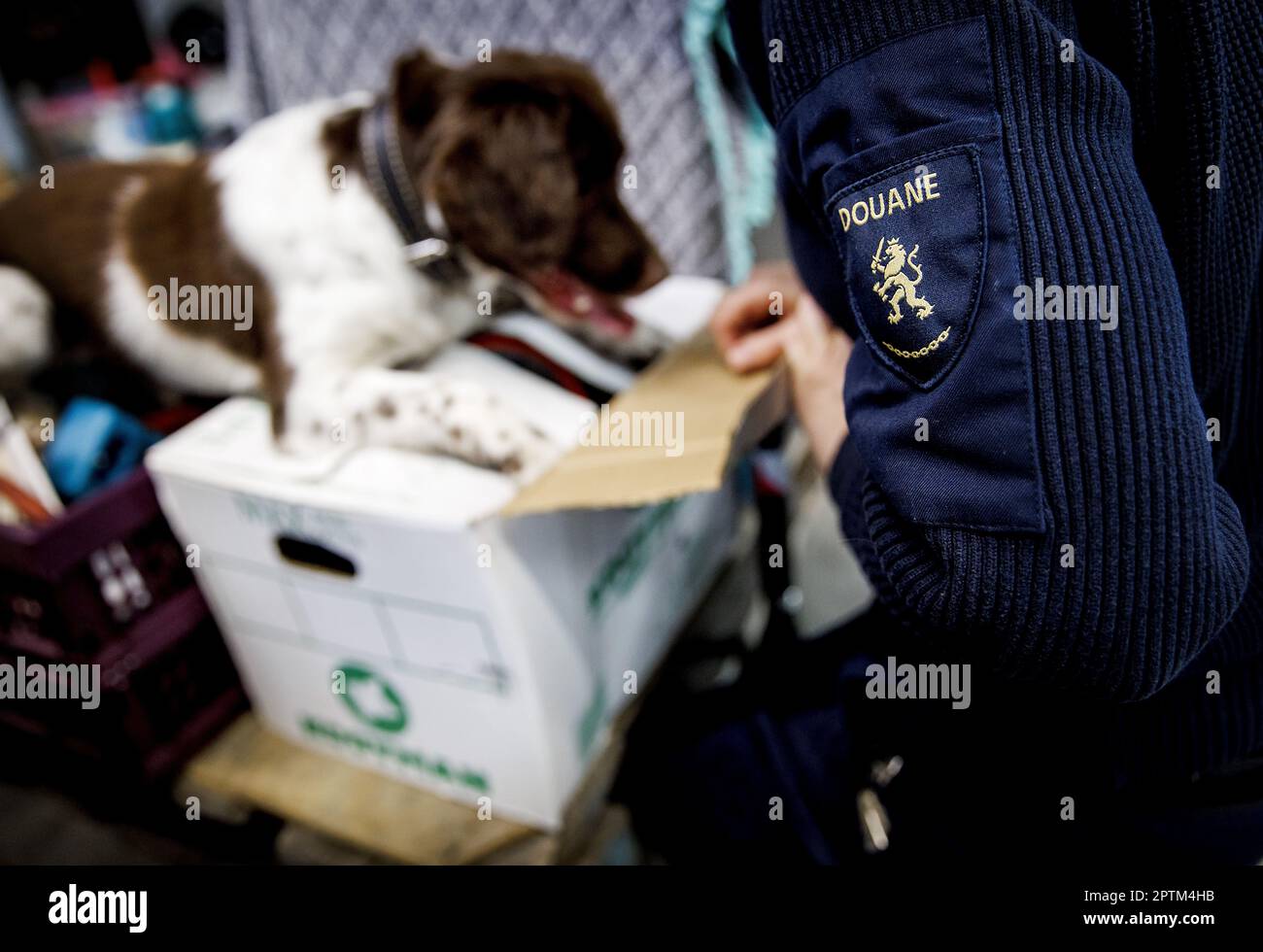 ROTTERDAM - A customs officer of the Port of Rotterdam Customs with a ...