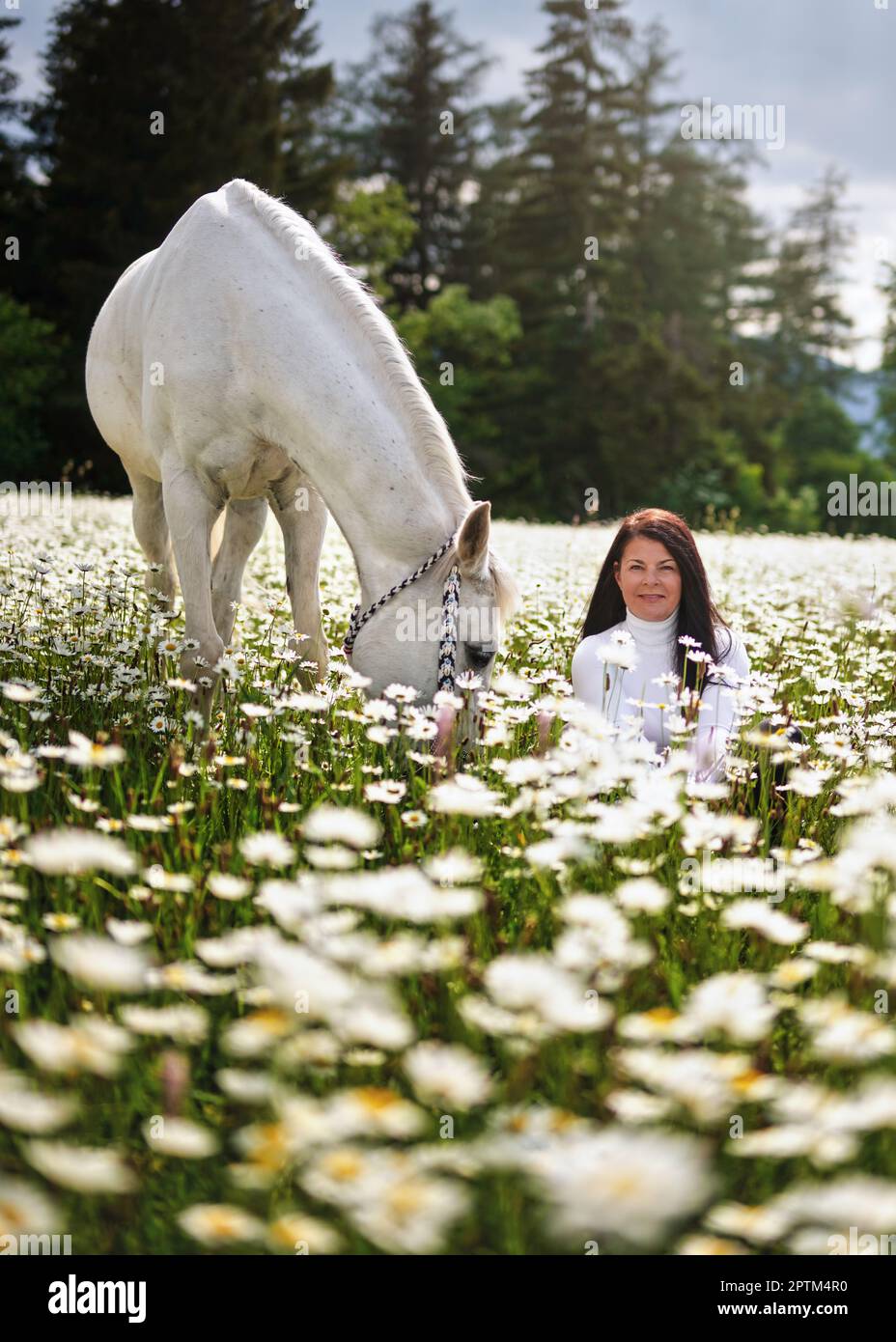 Female sitting in daisies hi-res stock photography and images - Alamy