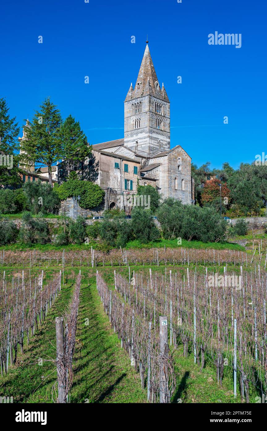 The ancient Basilica dedicated to the Fieschi Family situated in ...