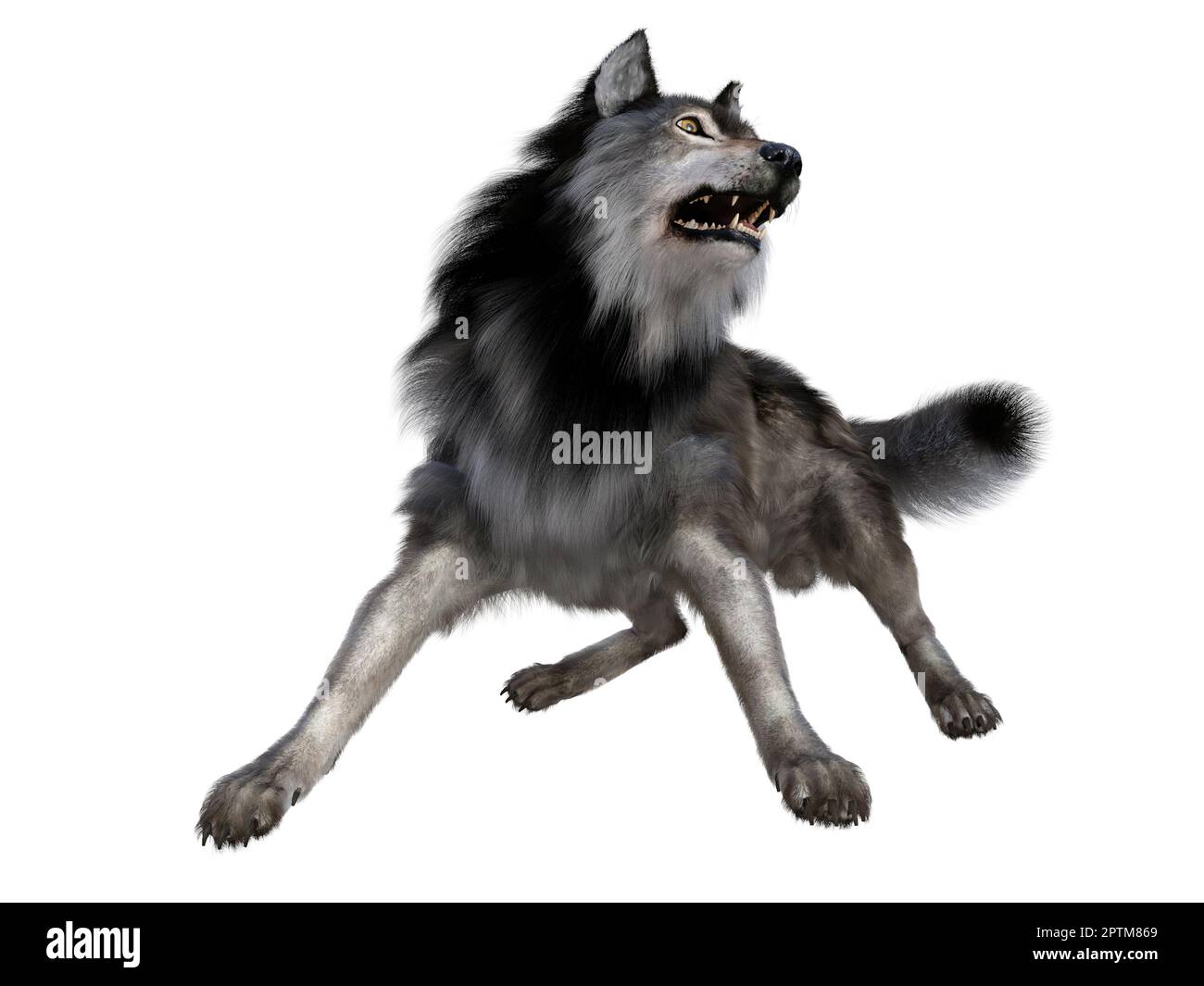 The carnivorous Dire Wolf lived in North and South America during the ...