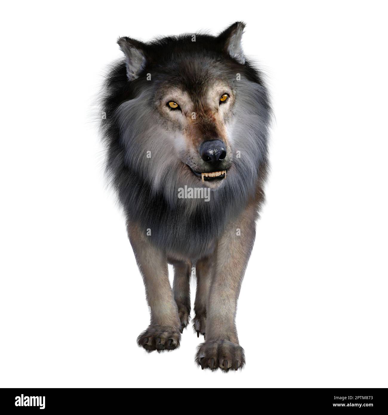 The carnivorous Dire Wolf lived in North and South America during the ...
