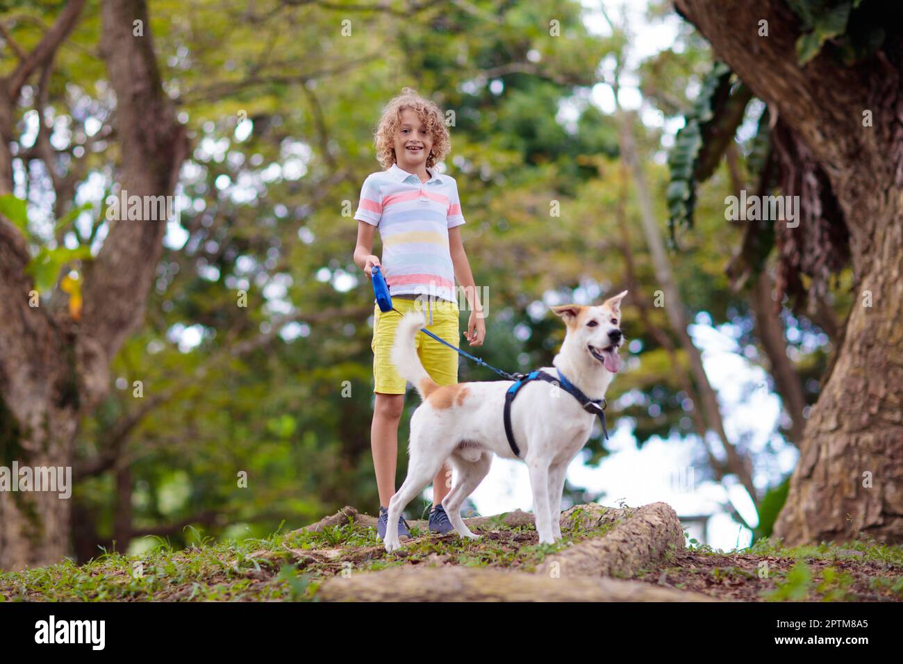 Child and dog walk in summer park. Little boy playing with his puppy ...