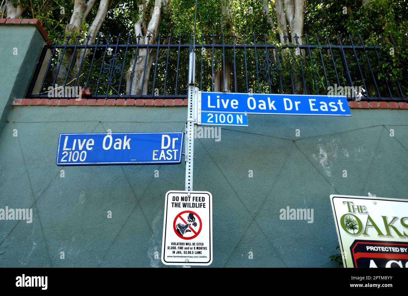 Los Angeles, California, USA 27th April 2023 Live Oak Drive East Sign ...