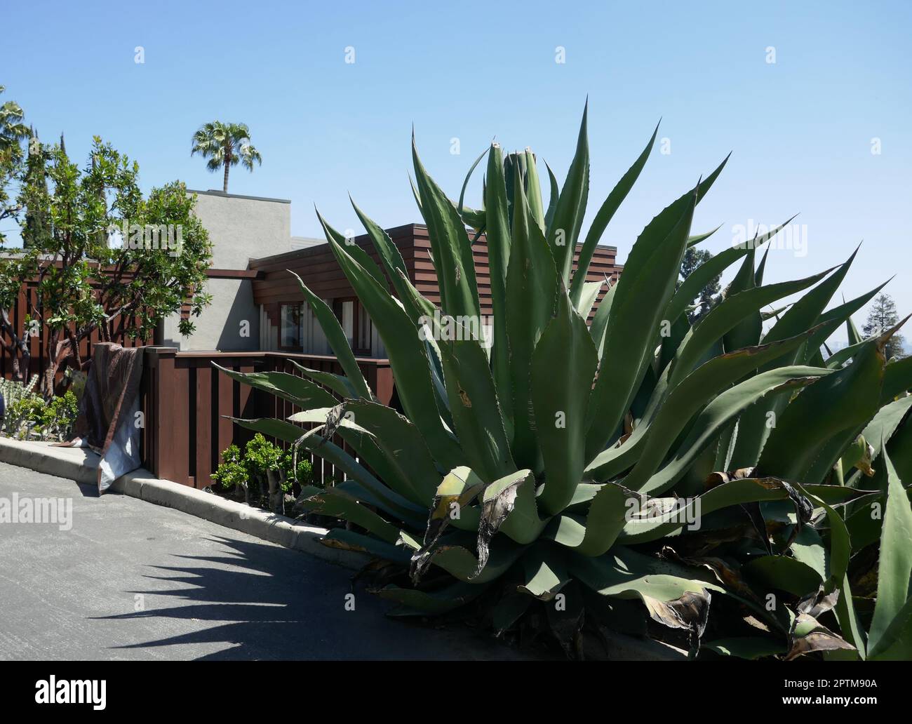 Los Angeles, California, USA 27th April 2023 Lloyd Wright Taggart House ...
