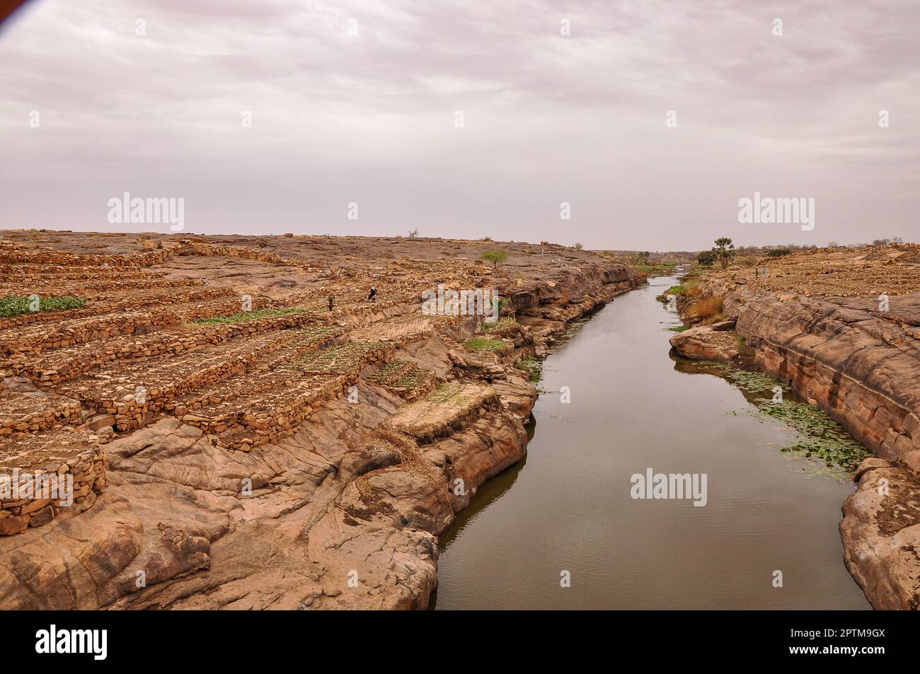 Nicolas Remene / Le Pictorium - Ende Bandiagara region Dogon Country ...