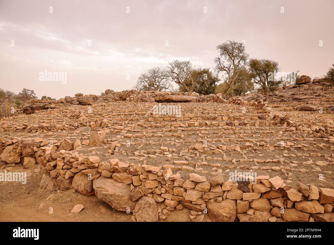 Nicolas Remene / Le Pictorium - Ende Bandiagara region Dogon Country ...