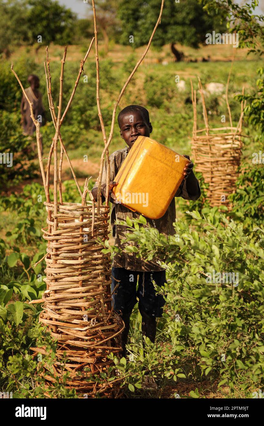 Dimbou hi-res stock photography and images - Alamy