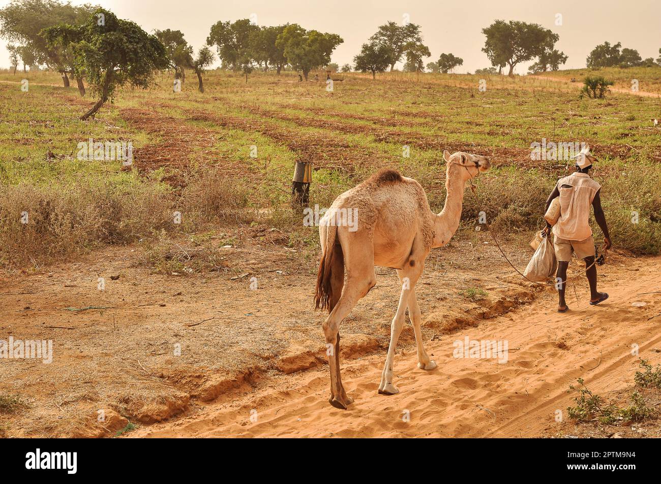Dogon man hi-res stock photography and images - Alamy