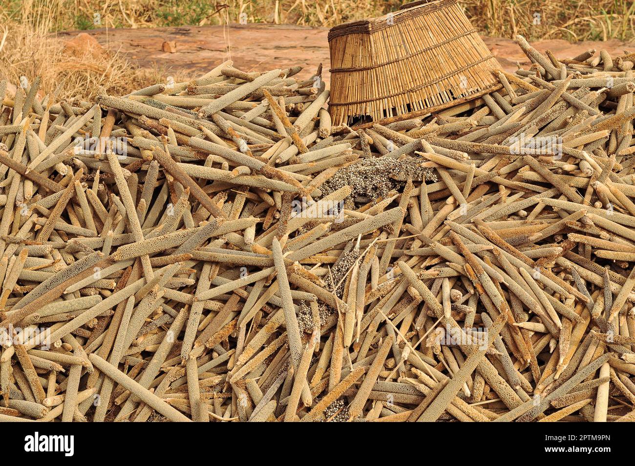 Millet loft hi-res stock photography and images - Alamy