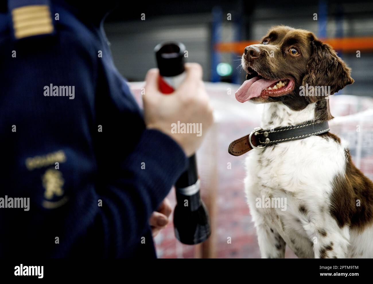 ROTTERDAM - A customs officer of the Port of Rotterdam Customs with a ...