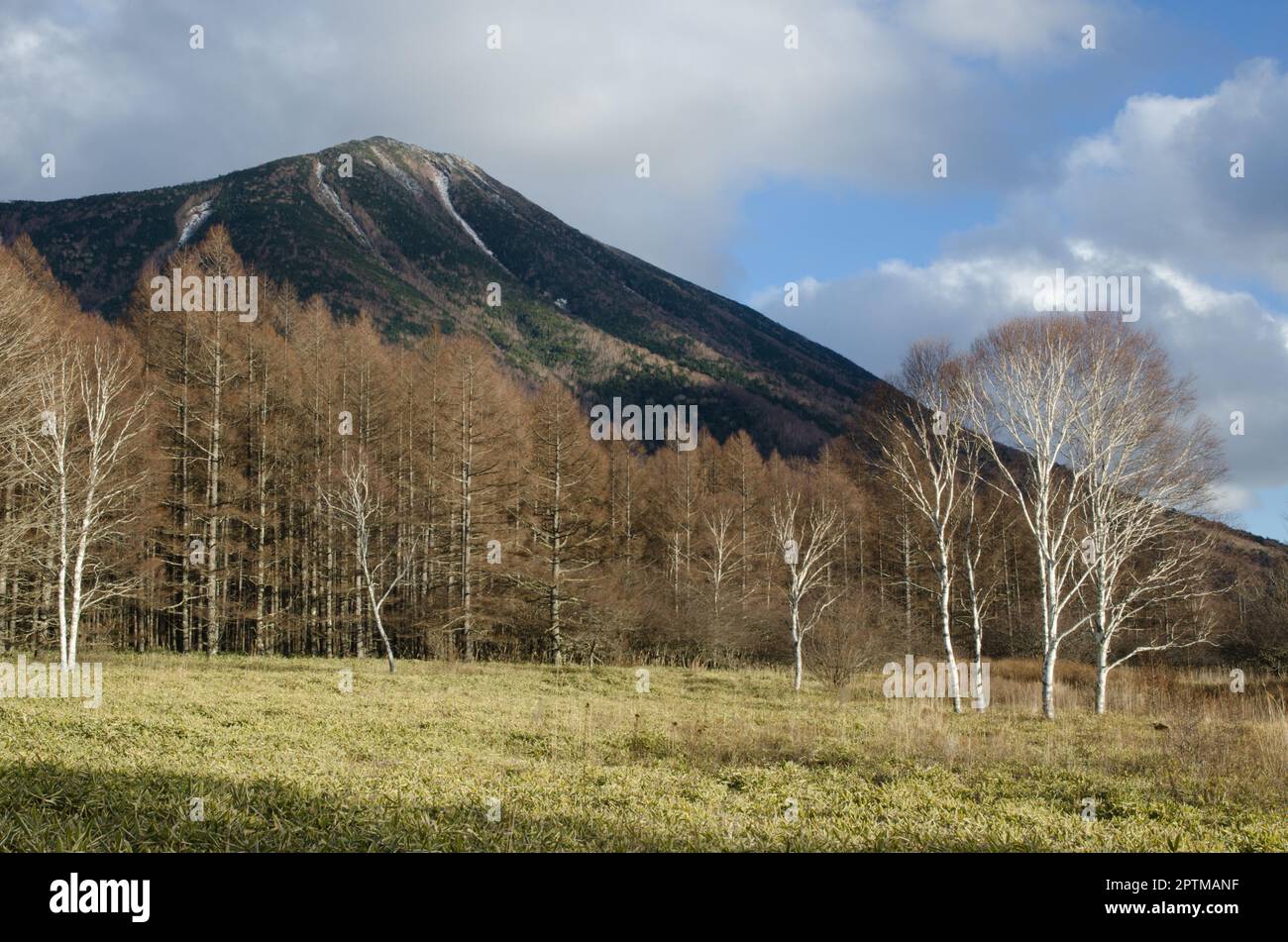 Senjogahara plain and Mount Nantai. Nikko National Park. Japan Stock ...