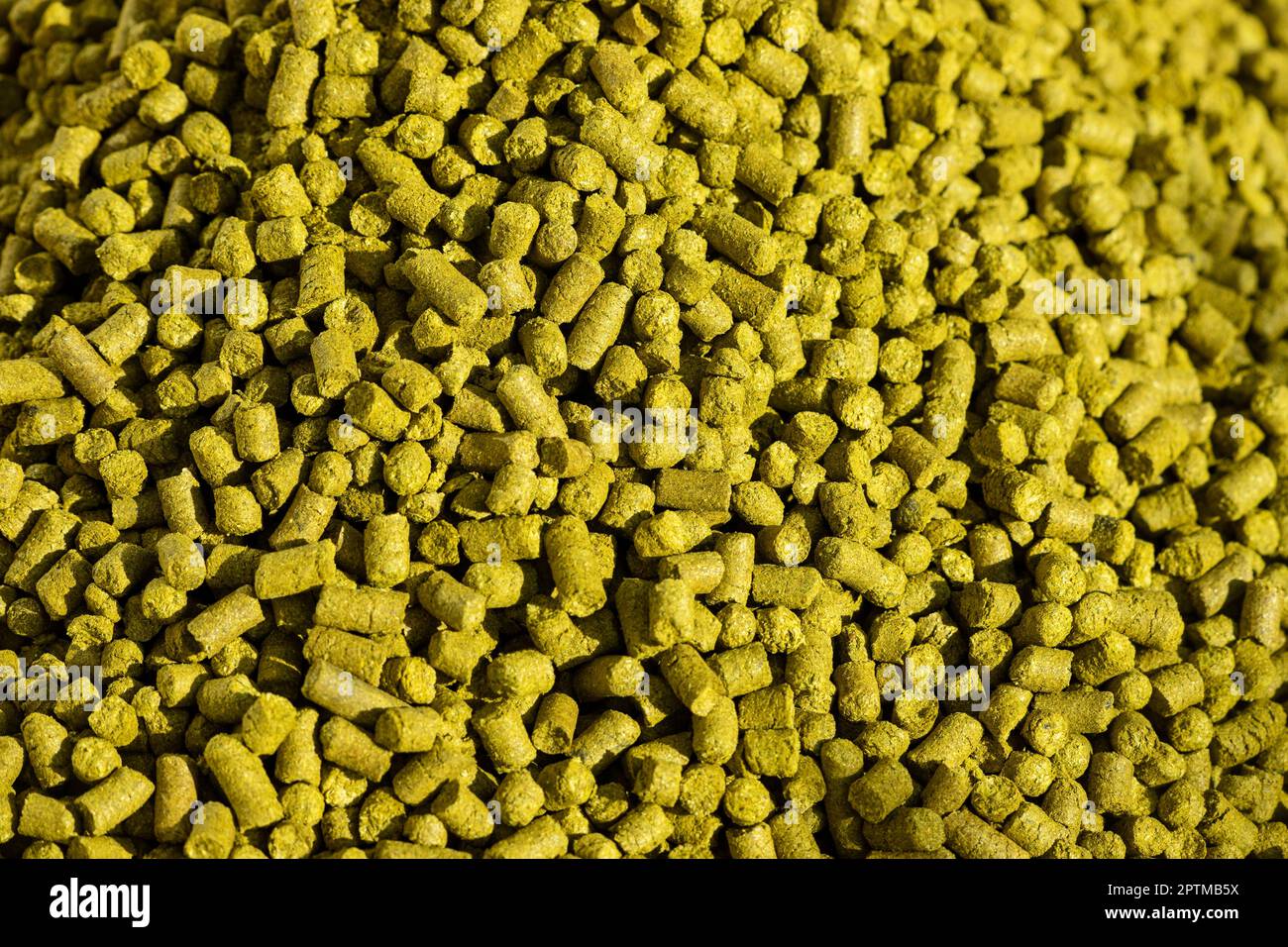 overview of fresh hop pellets Stock Photo - Alamy