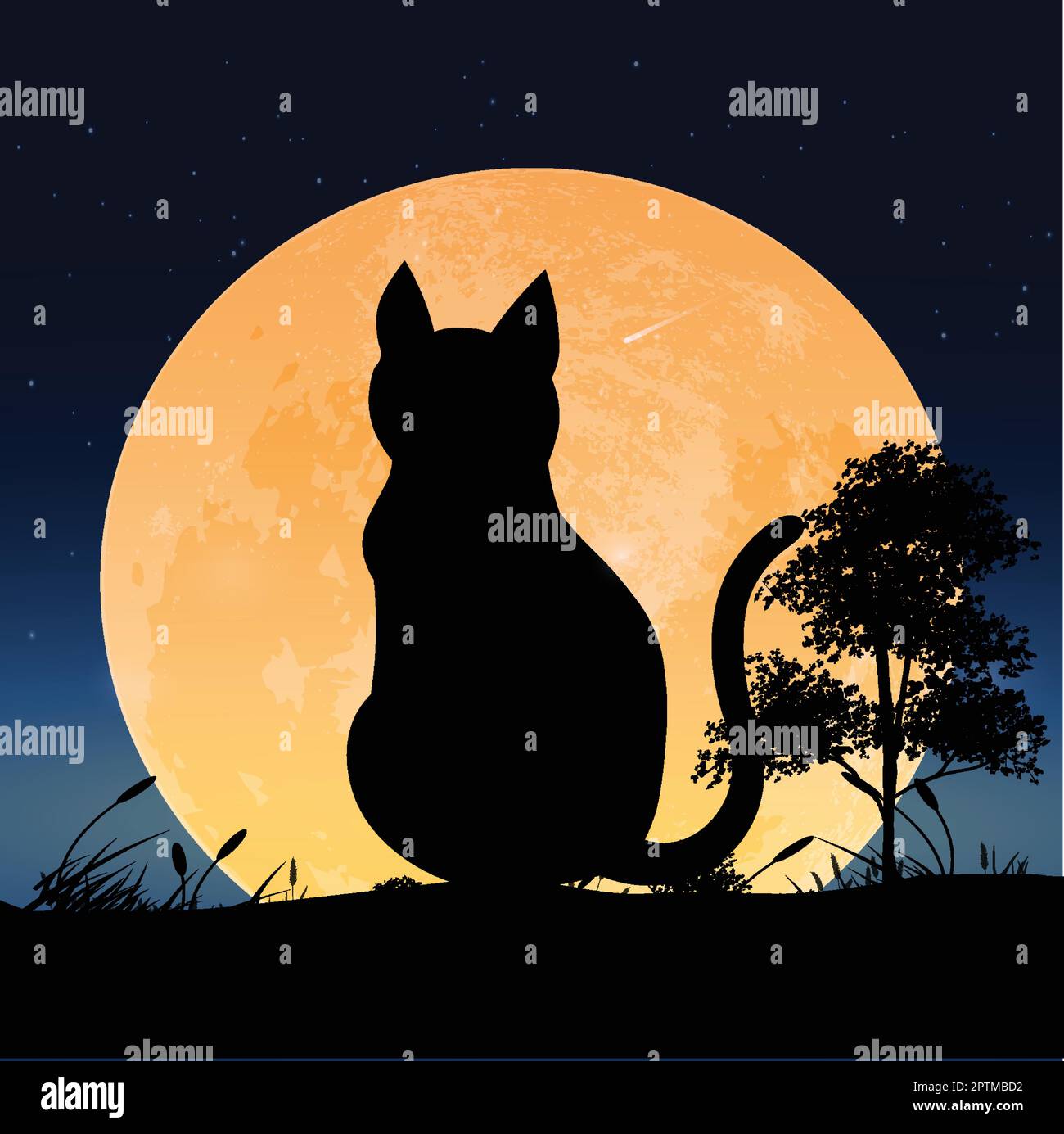 Cat and full moon hi-res stock photography and images - Alamy