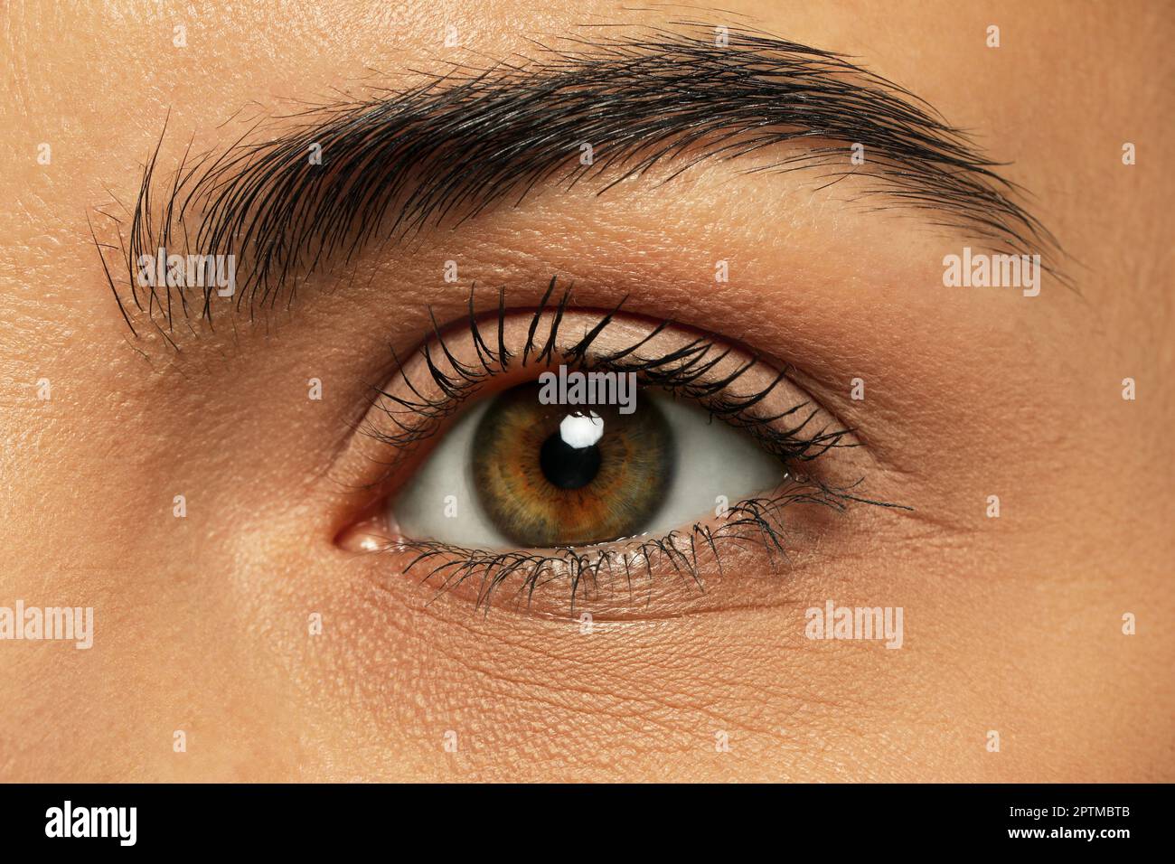 Beautiful Hazel Eyes