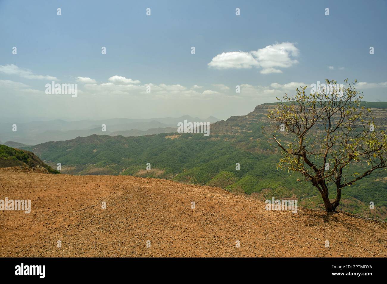 11 05 2009 On Way to Elephant Point Mahabaleshwar in Western Ghats ...