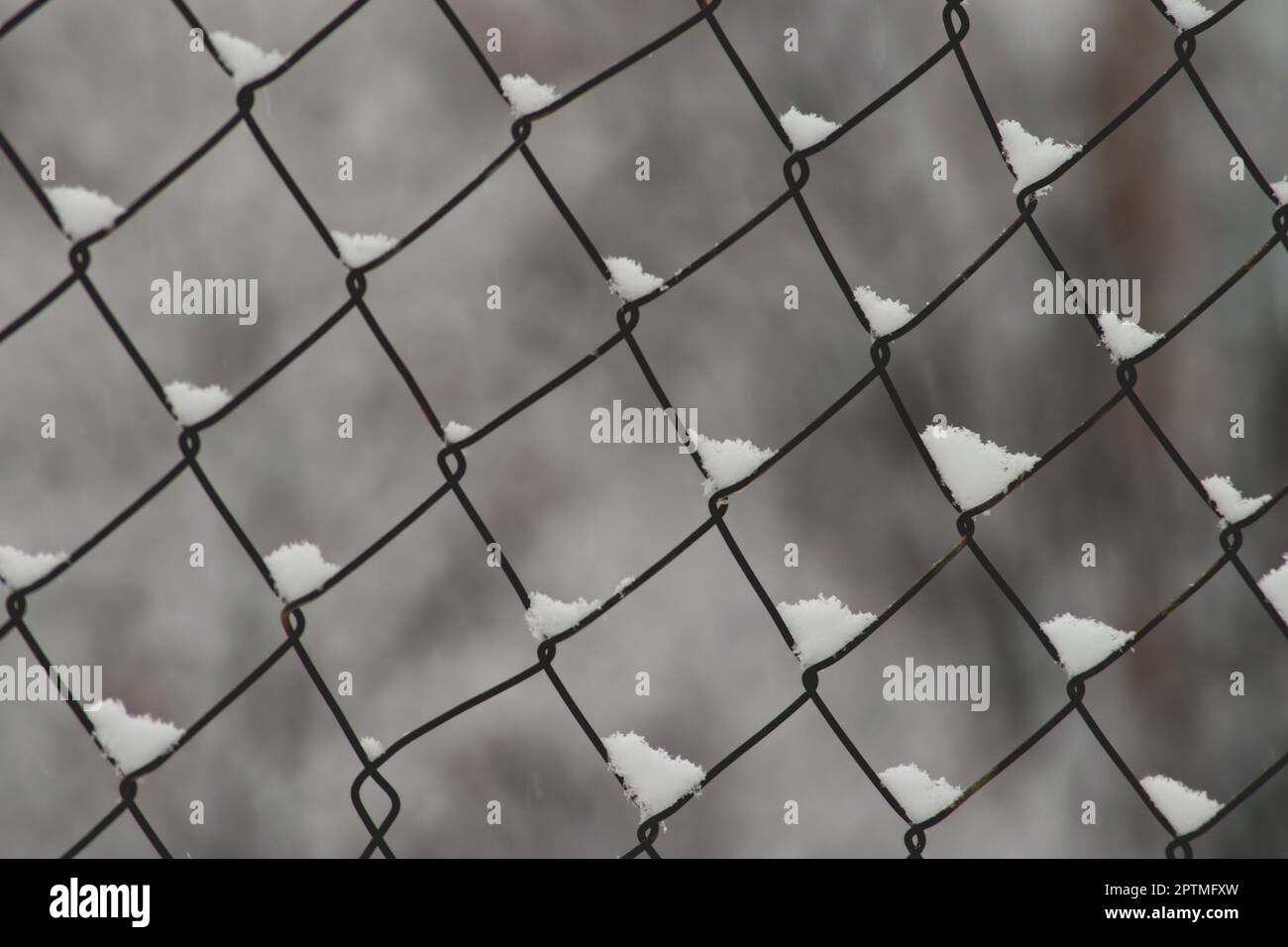 First snow on a grid in a winter day Stock Photo - Alamy