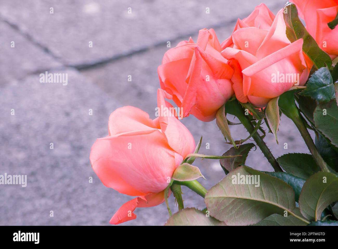 Beautiful orange rose bouquet Orange roses are special colors that mean ...