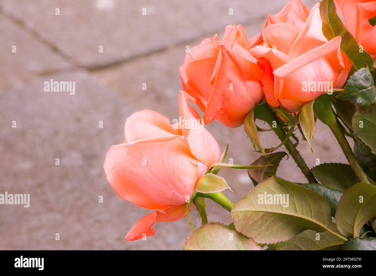 Beautiful orange rose bouquet Orange roses are special colors that mean ...