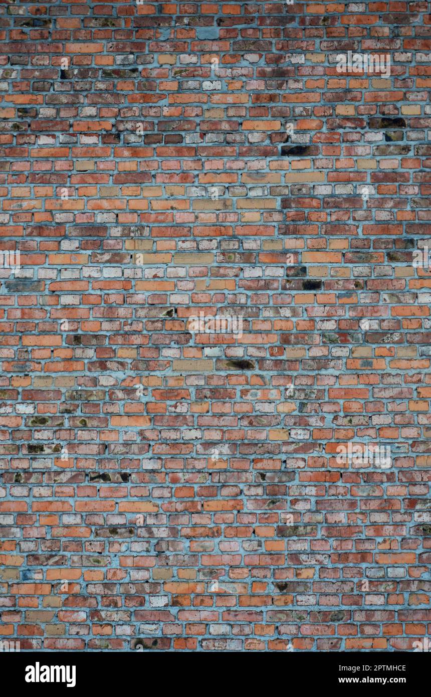 The texture of wall from a variety of old and dirty brick. Detailed ...