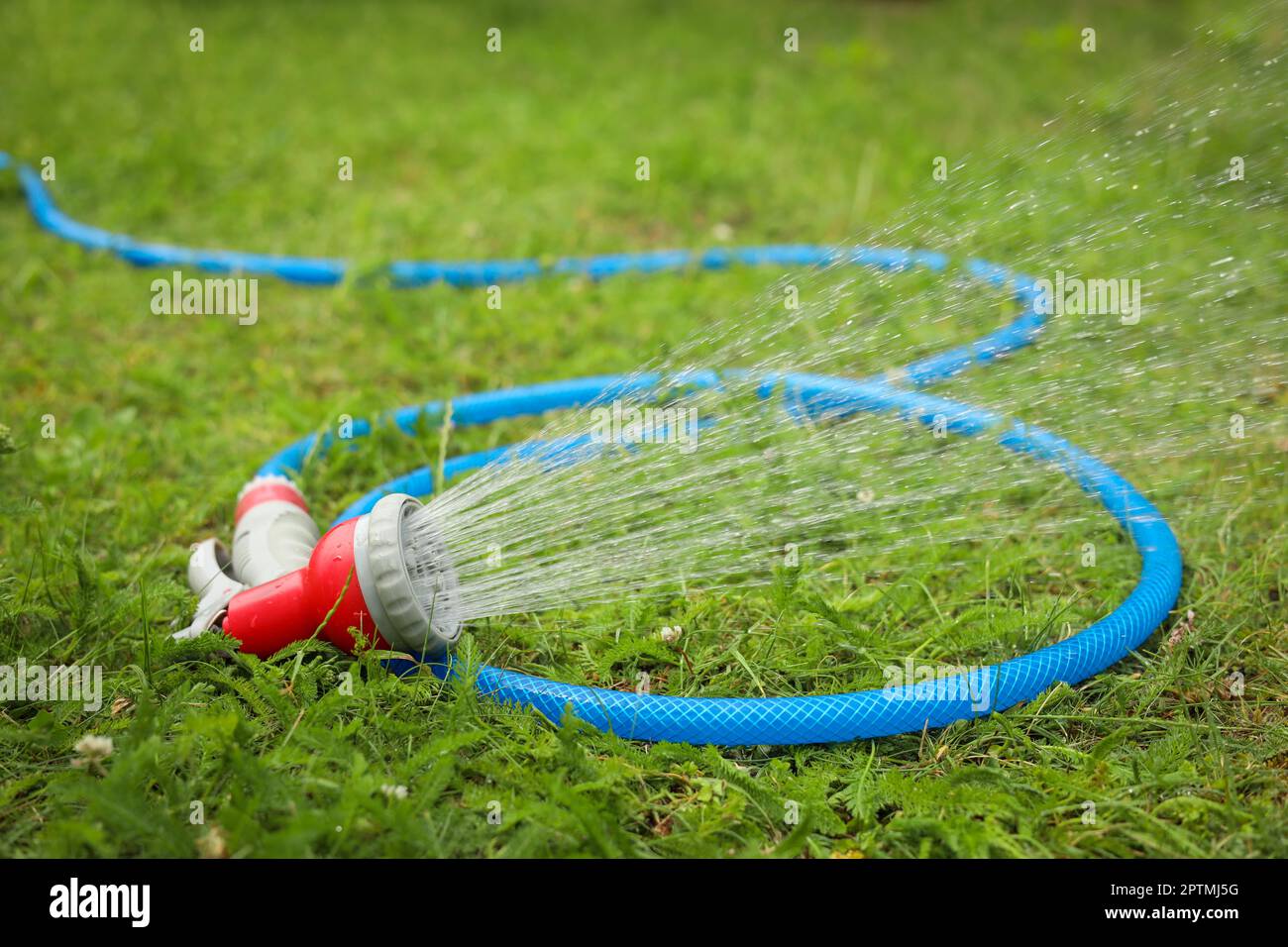 Sprinkler spraying drops water on hi-res stock photography and images ...