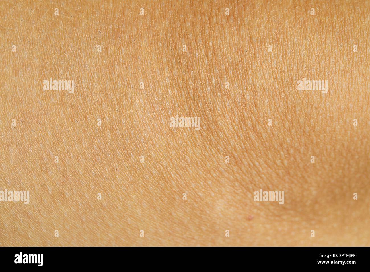 Texture of human skin as background, closeup view Stock Photo - Alamy