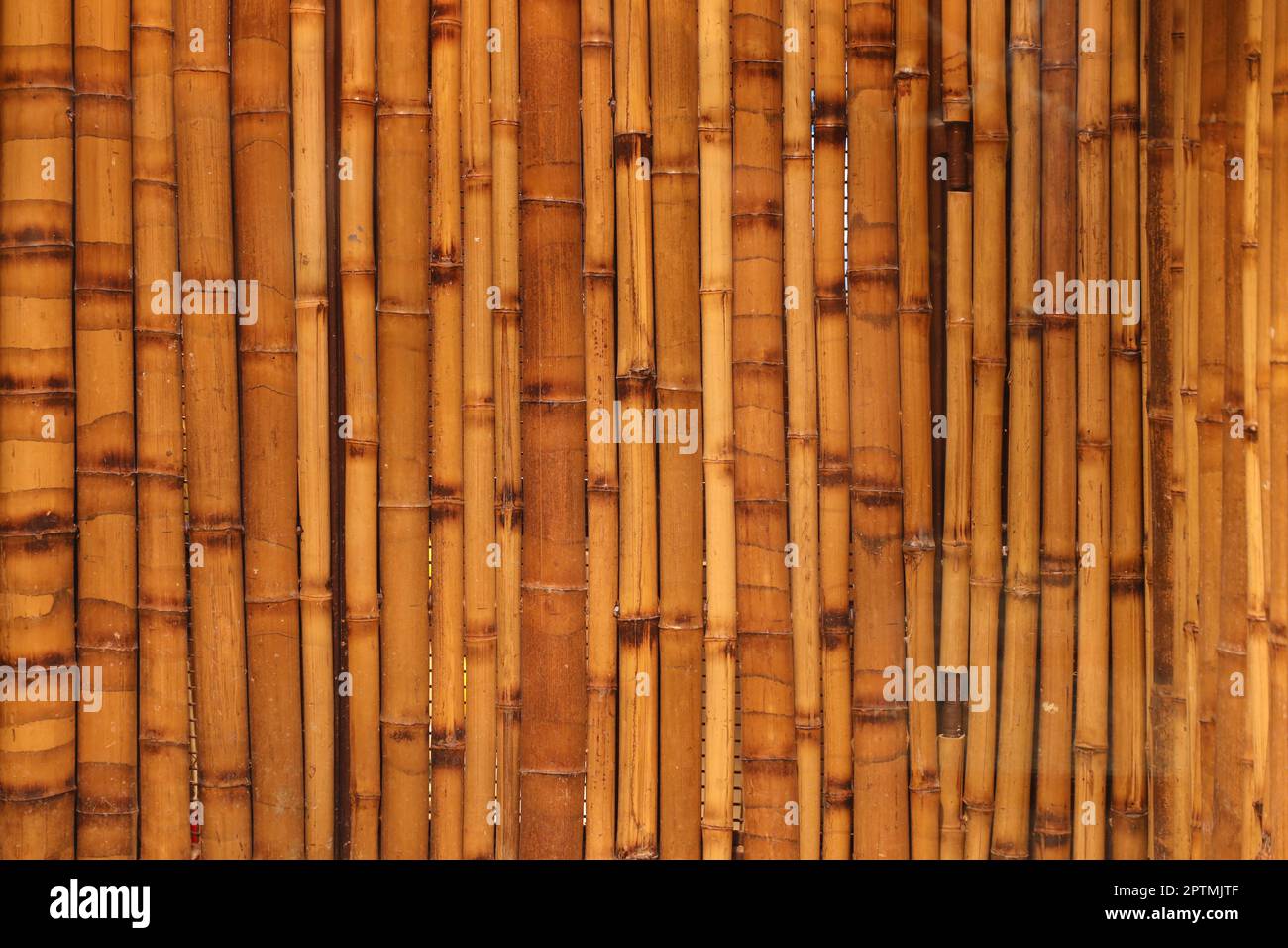 Brown bamboo texture background coming from natural bamboo straws. The ...