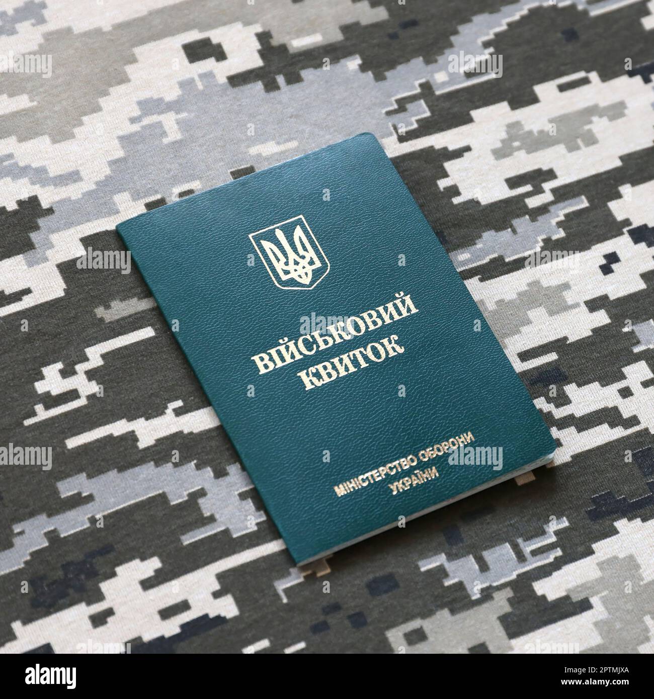 Ukrainian military ID on fabric with texture of pixeled camouflage ...