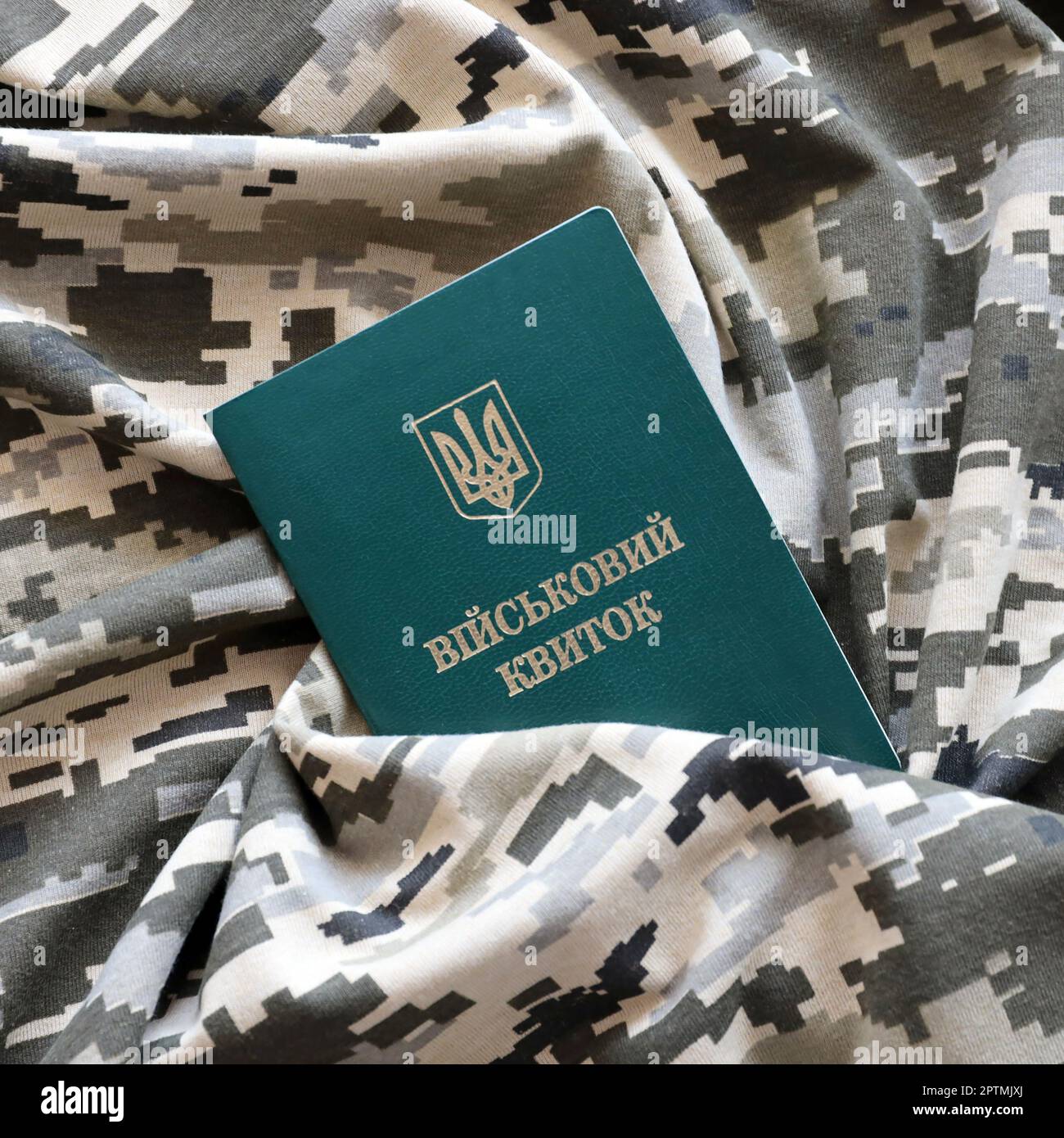 Ukrainian military ID on fabric with texture of pixeled camouflage ...
