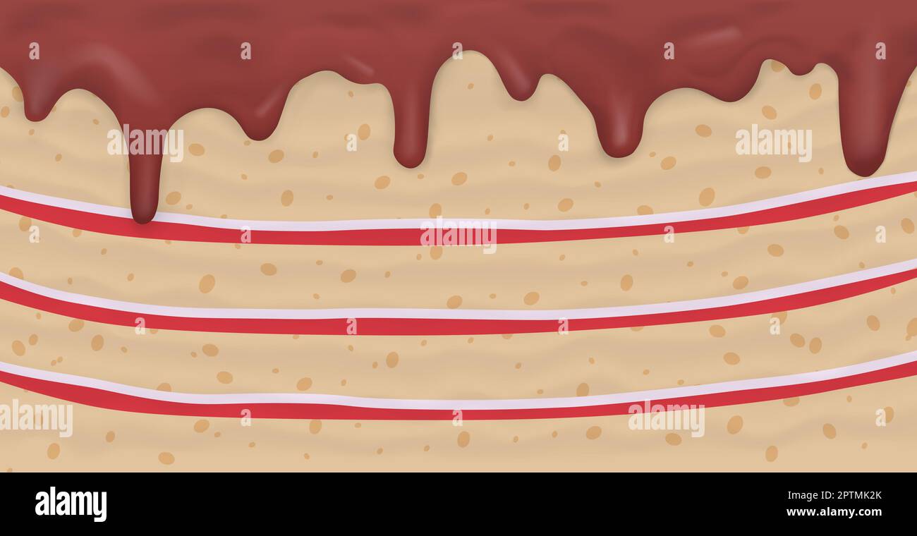 Panoramic background layer cake, food texture - Vector illustration ...