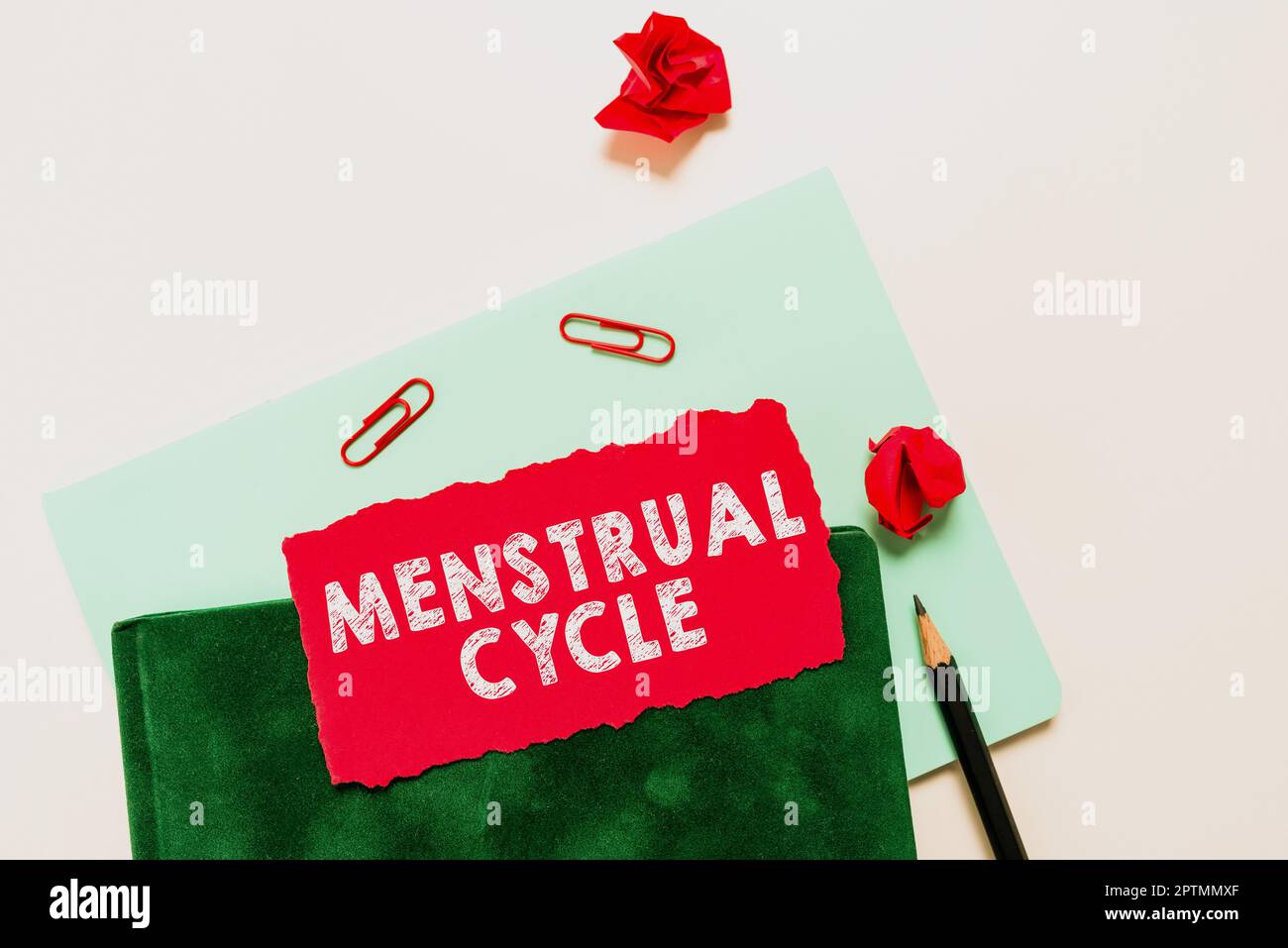 Writing displaying text Menstrual Cycle, Internet Concept monthly cycle ...