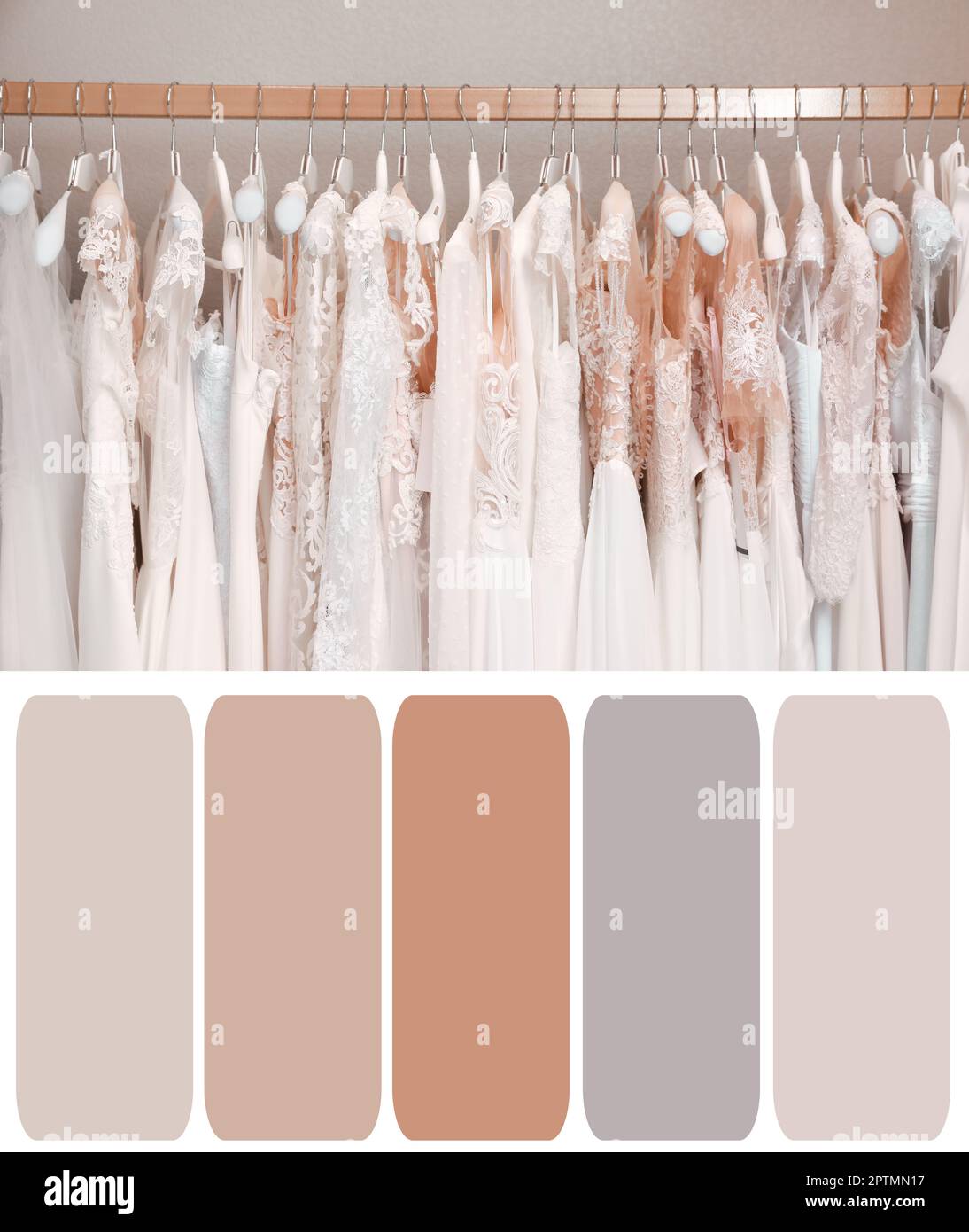 Color palette appropriate to photo of wedding dresses in boutique on ...