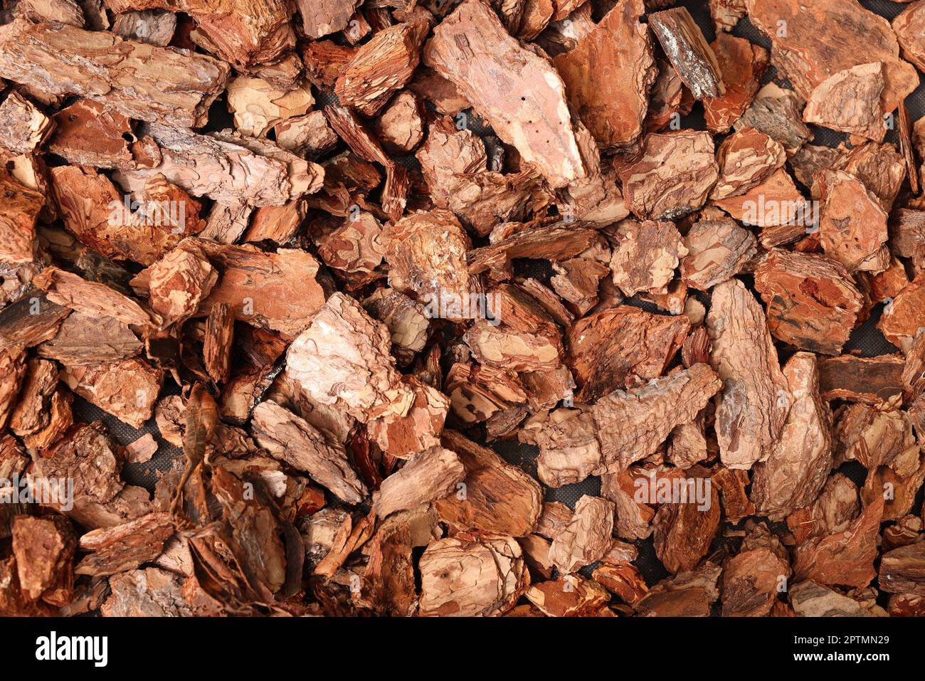 Tree bark pieces as background, top view Stock Photo - Alamy