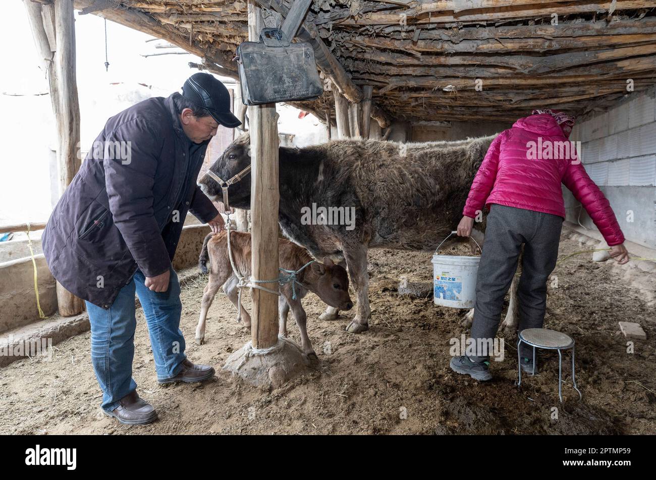 (230428) -- AKQI, April 28, 2023 (Xinhua) -- Abdubek (L) helps his wife ...