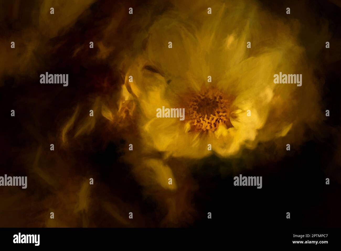 Digital painting of a brightly colored sunlit yellow Margueritte, or ...