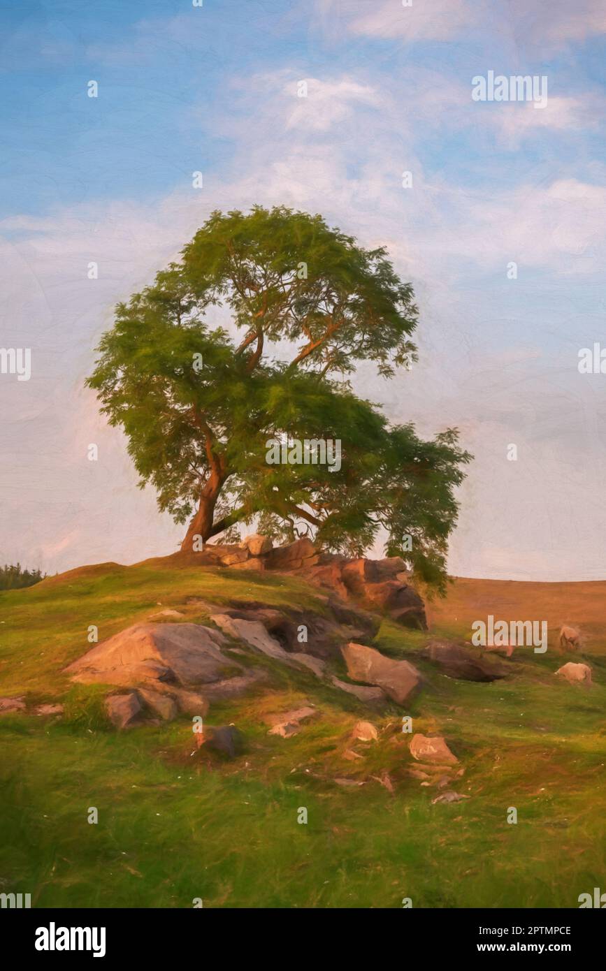 Digital painting of a lone tree at sunset near Ramshaw Rocks on The ...