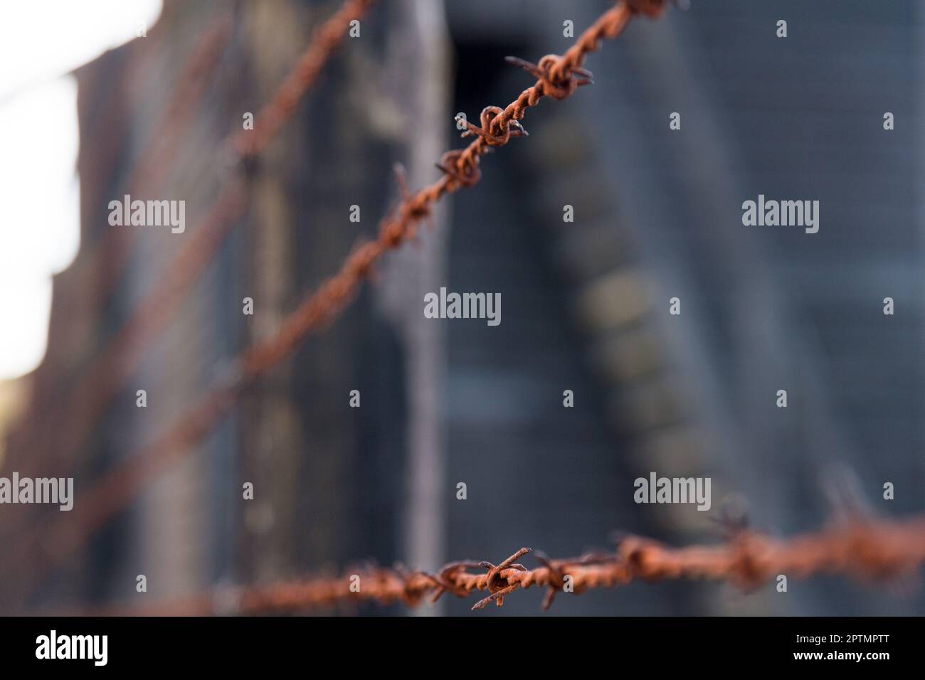 Wooden guard tower in Museum of Stutthof in Sztutowo, Poland. About ...