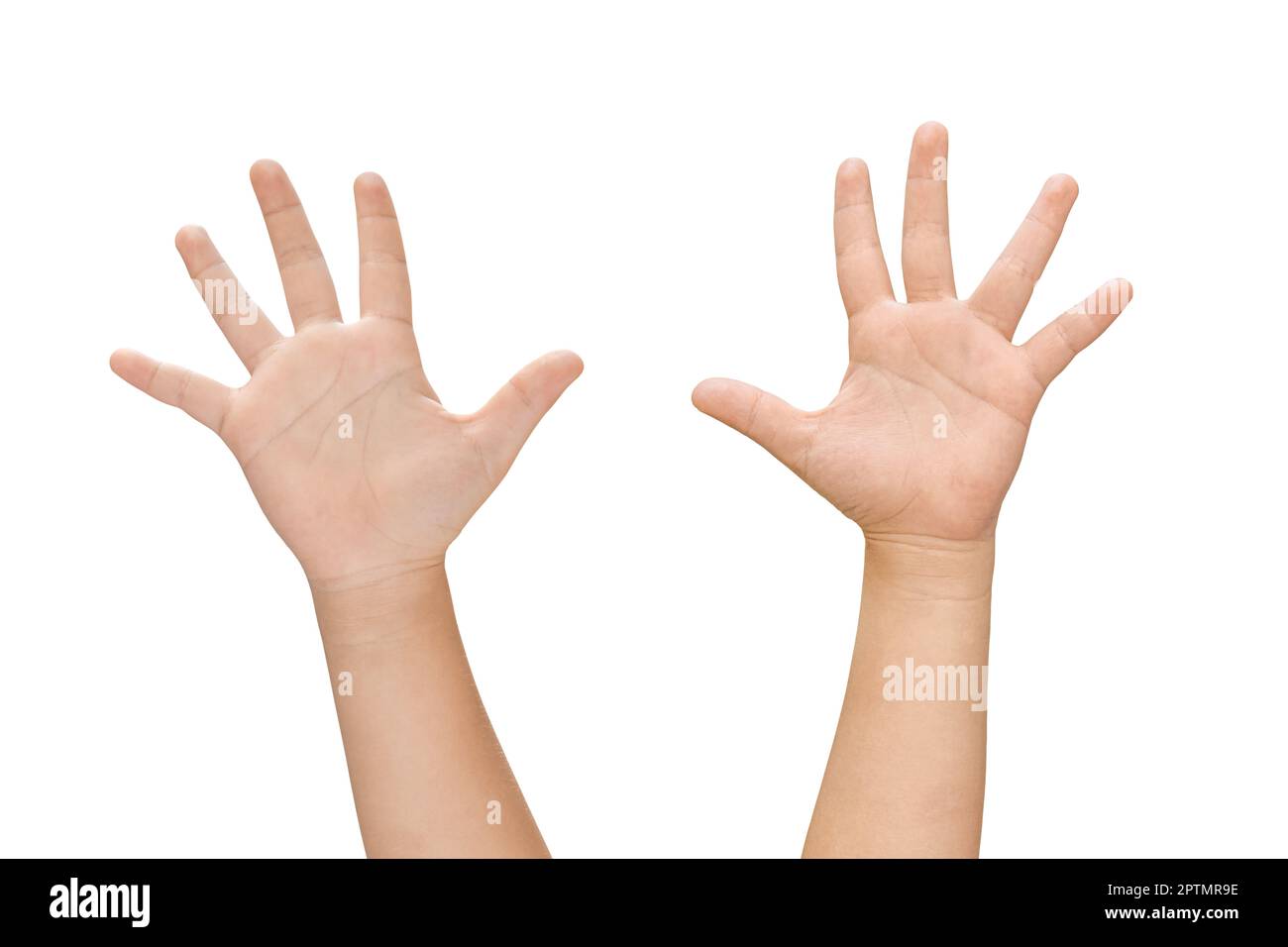 child hands raised up gesture Isolated on white background with ...