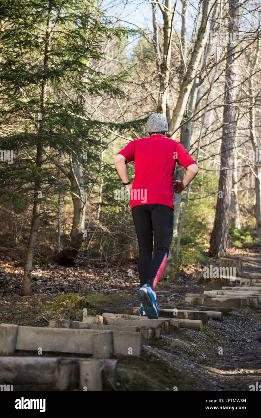 Man doing exercise at obstacle course on fitness trail in forest Stock ...