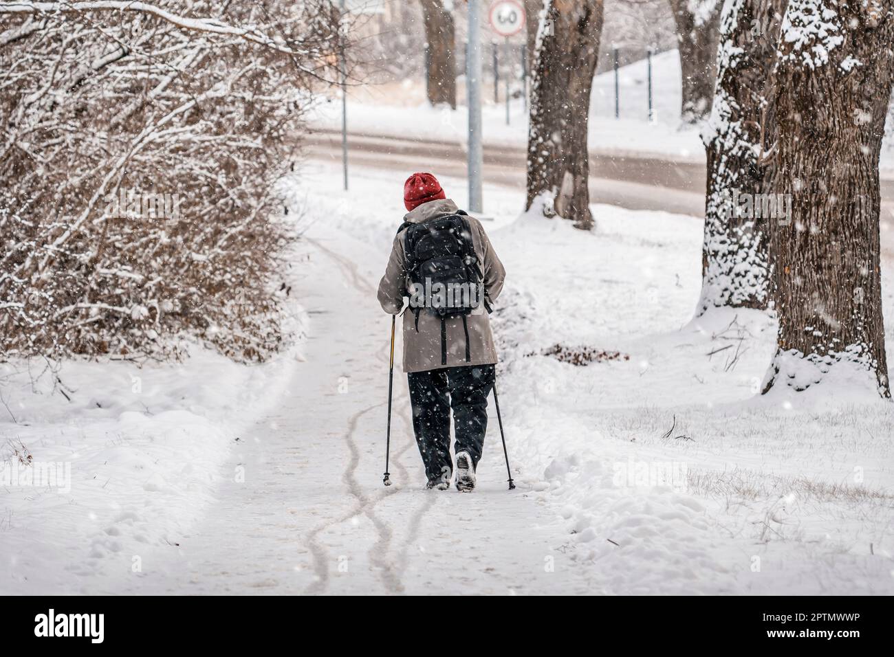 An elderly woman with canes in her hands walks along a snow-covered ...