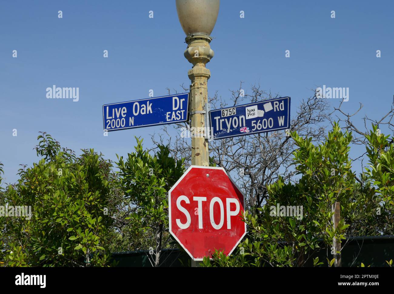 Los Angeles, California, USA 27th April 2023 Live Oak Drive East Sign ...