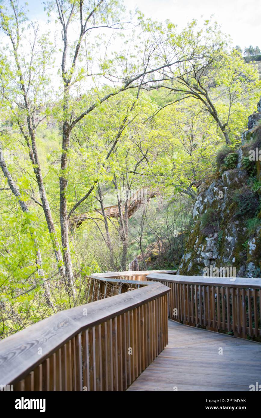 Green walkways hi-res stock photography and images - Alamy