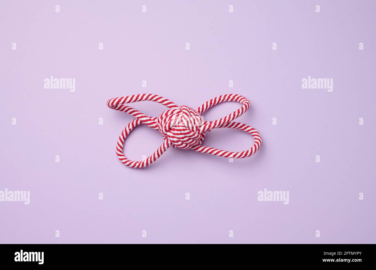 Textile toy rope for playing with animals on a purple background, top ...