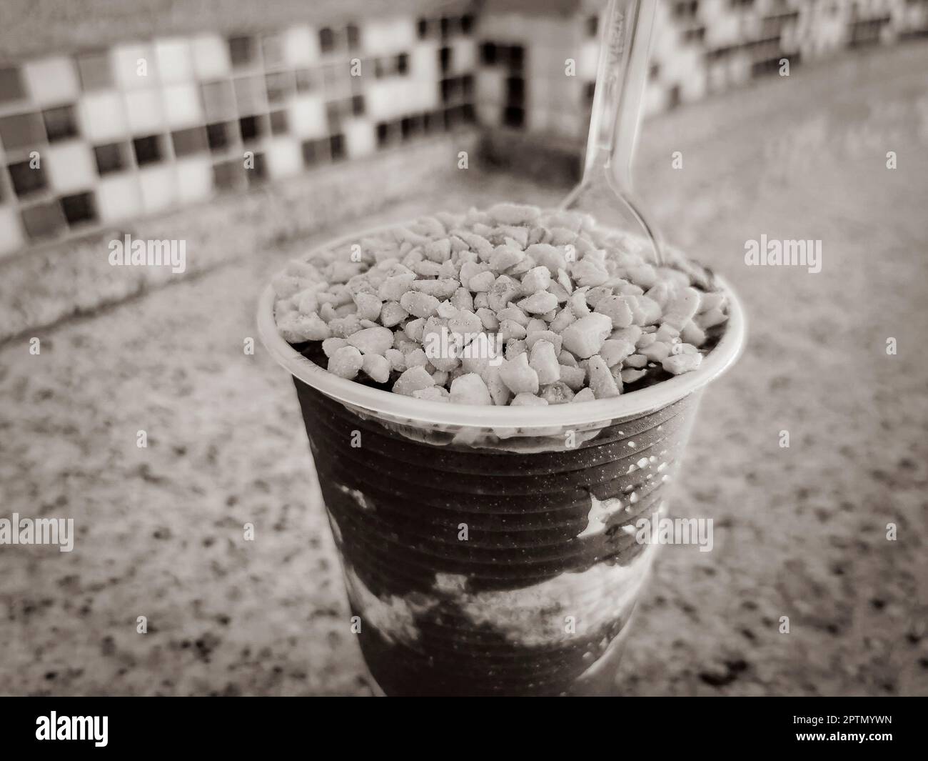 Brazilian superfood berry açaí in a mug as ice and peanuts. Açaí King ...