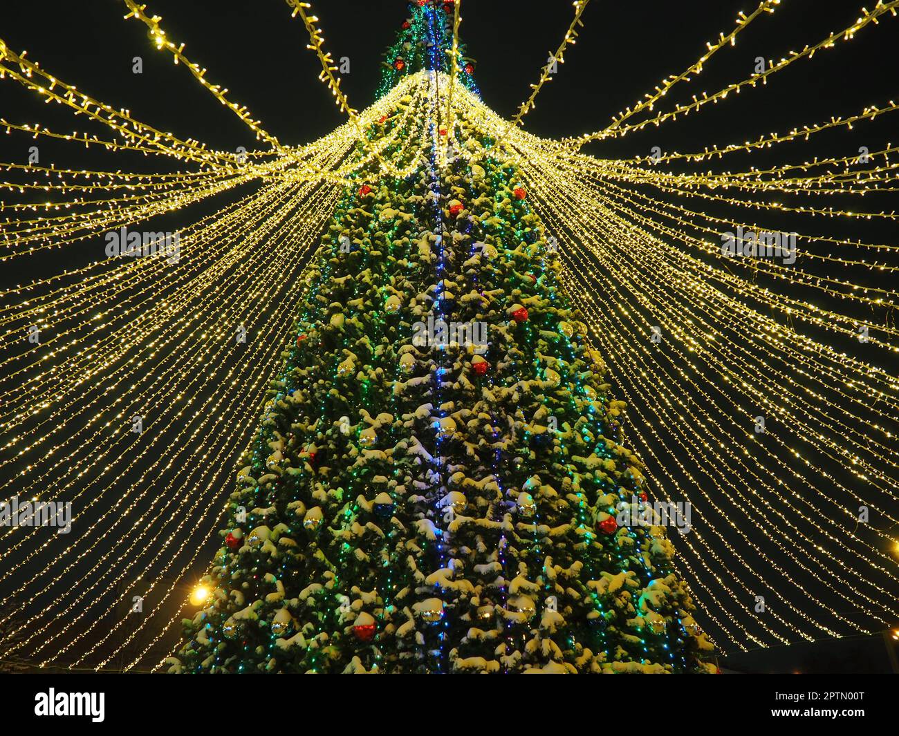 big beautiful Christmas Tree with decorations and Illuminations in ...