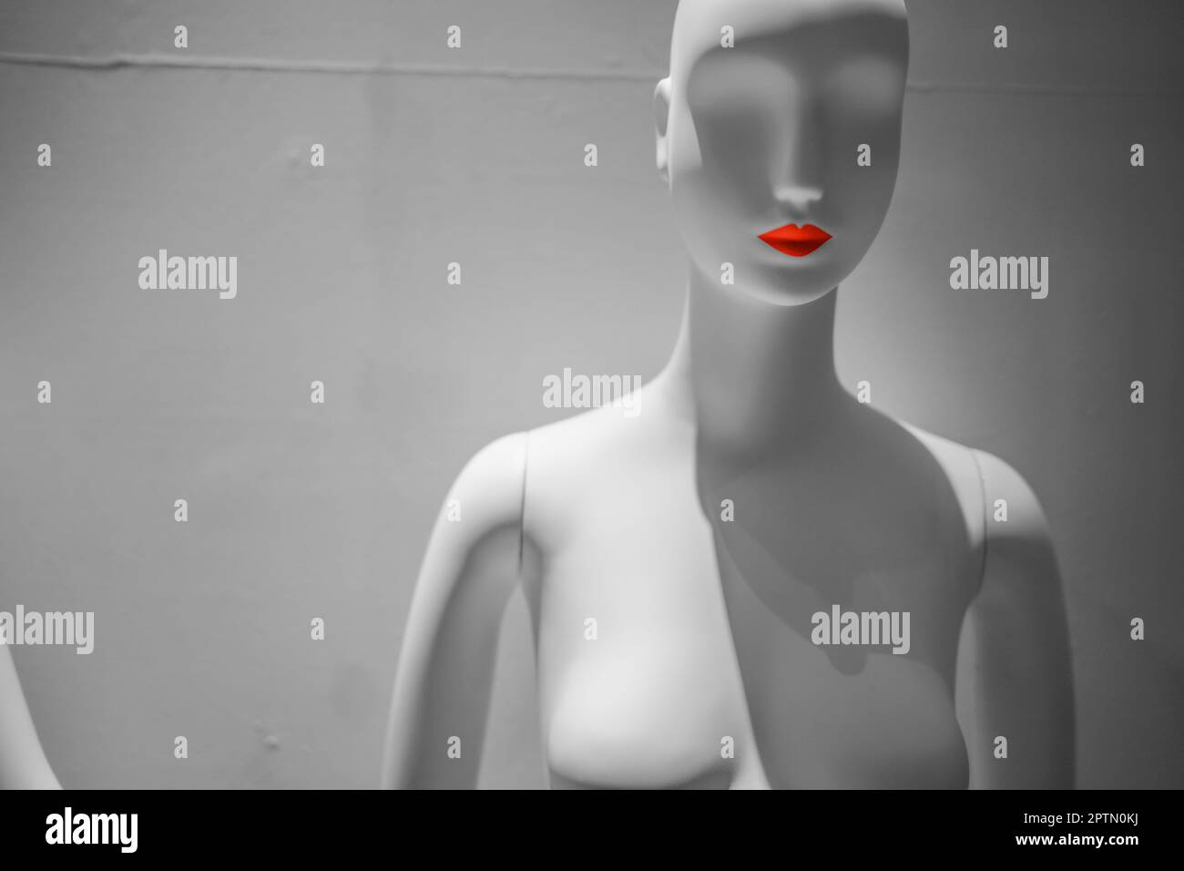 Mannequin With Lipstick Shooting Location Tokyo Metropolitan Area Mannequin With Lipstick Shooting Location Tokyo Metropolitan Area
