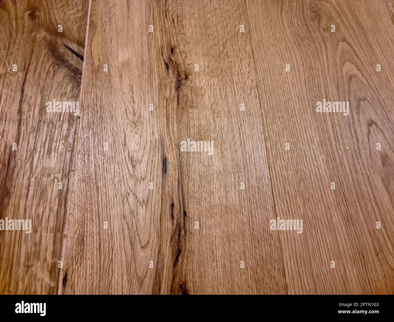 Detailed close up view on different wood surfaces showing planks logs ...